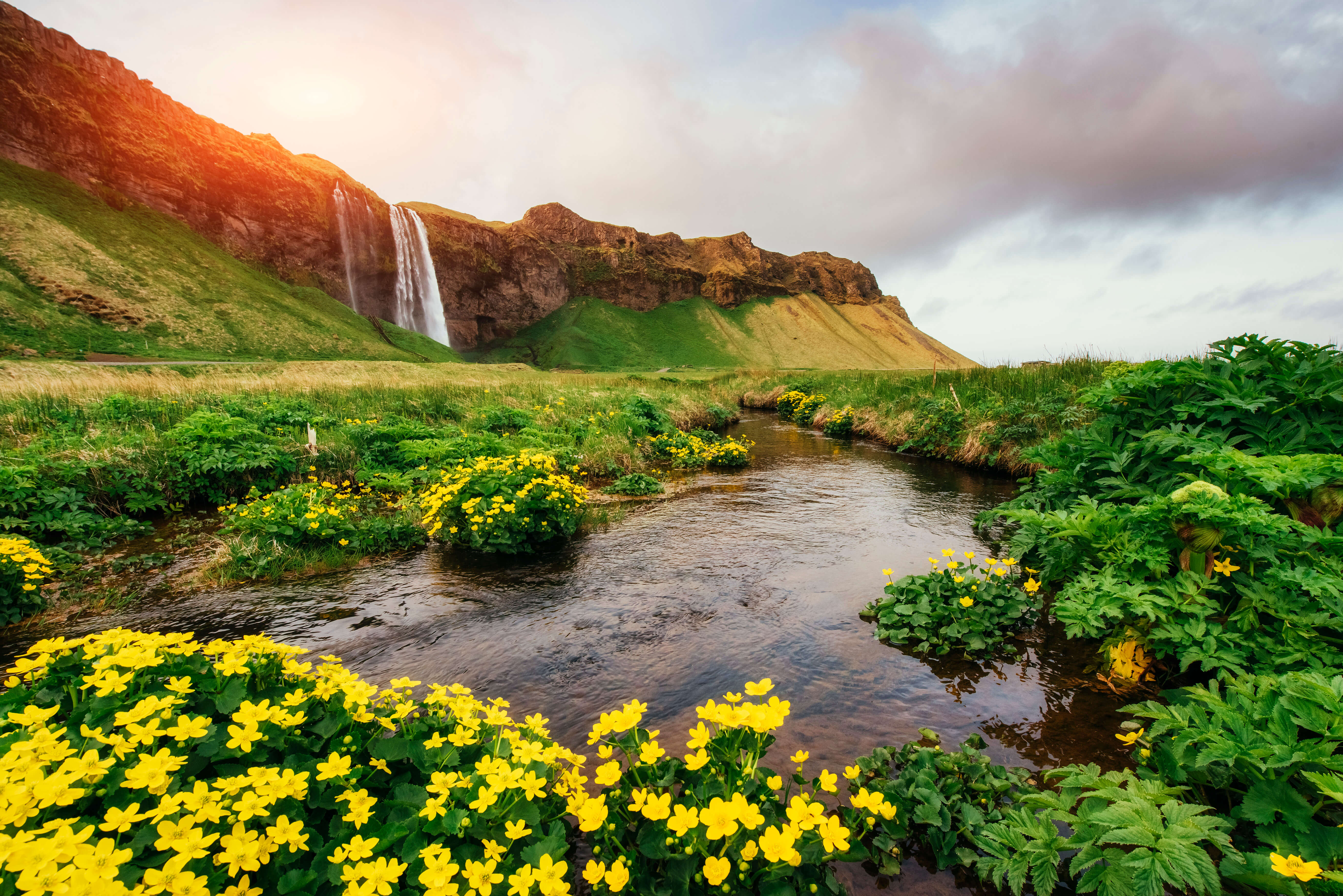 Midnight Sun Tours In Iceland Private Iceland Tours midnight-sun-tours-in-iceland-private-iceland-tours